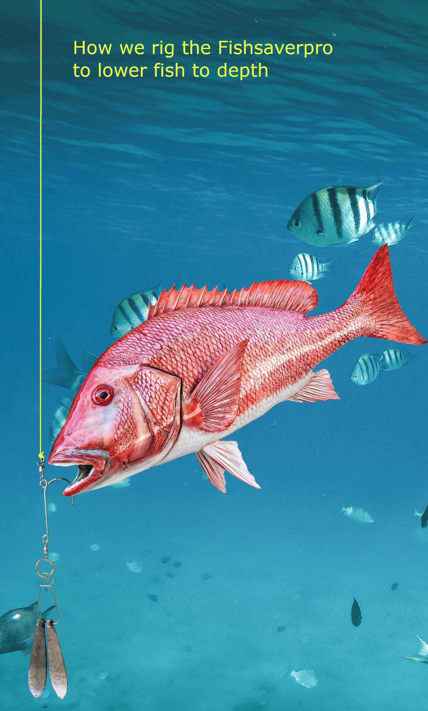 How to use your Fishsaverpro